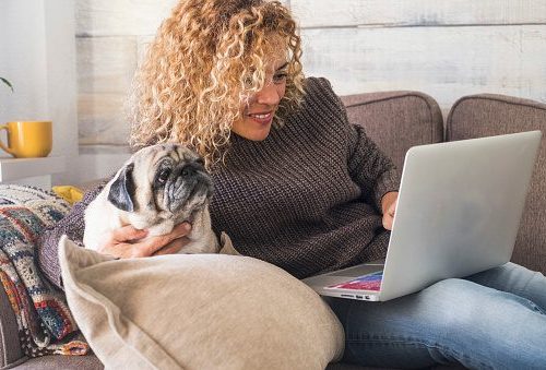 Online Account Opening – The Savings Bank – Massachusetts